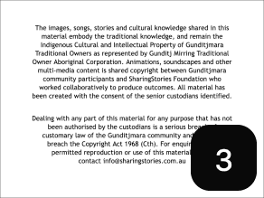 The Eagle, the Crow and the Bat