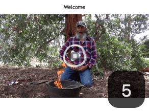 The Eagle, the Crow and the Bat