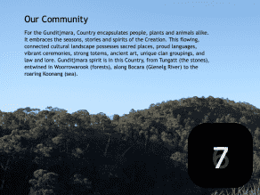 The Eagle, the Crow and the Bat